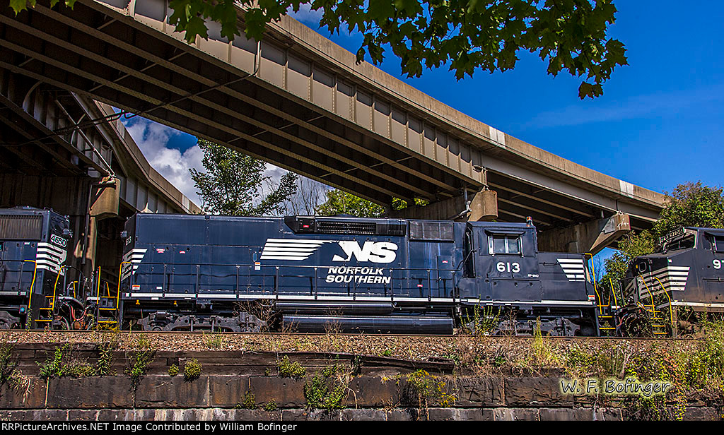 NS 613